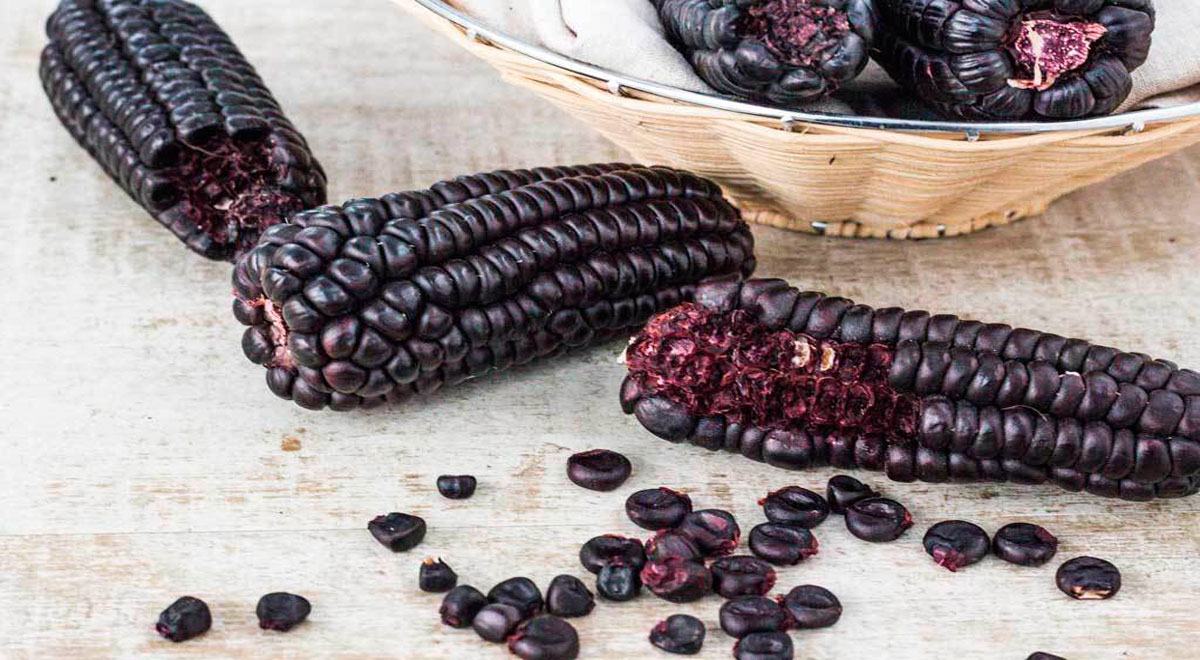 Maíz morado, joya de nuestra gastronomía | Nutricion | Salud ...