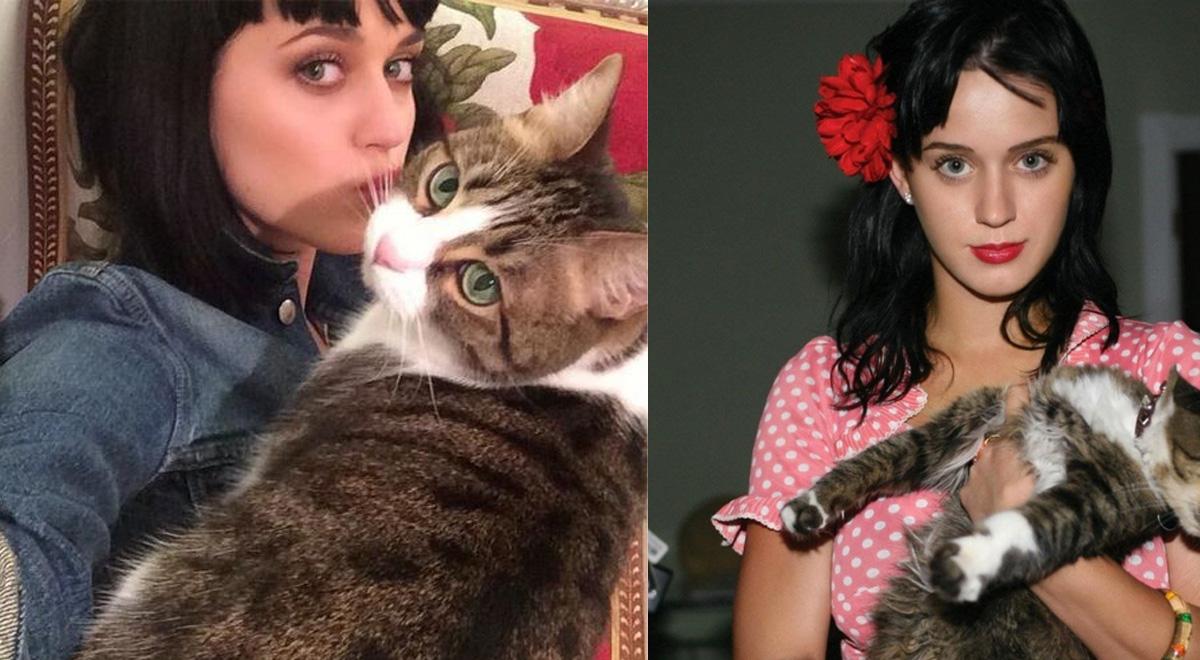 Katy Perry se encuentra triste por la muerte de su gata “Kitty Purry ...