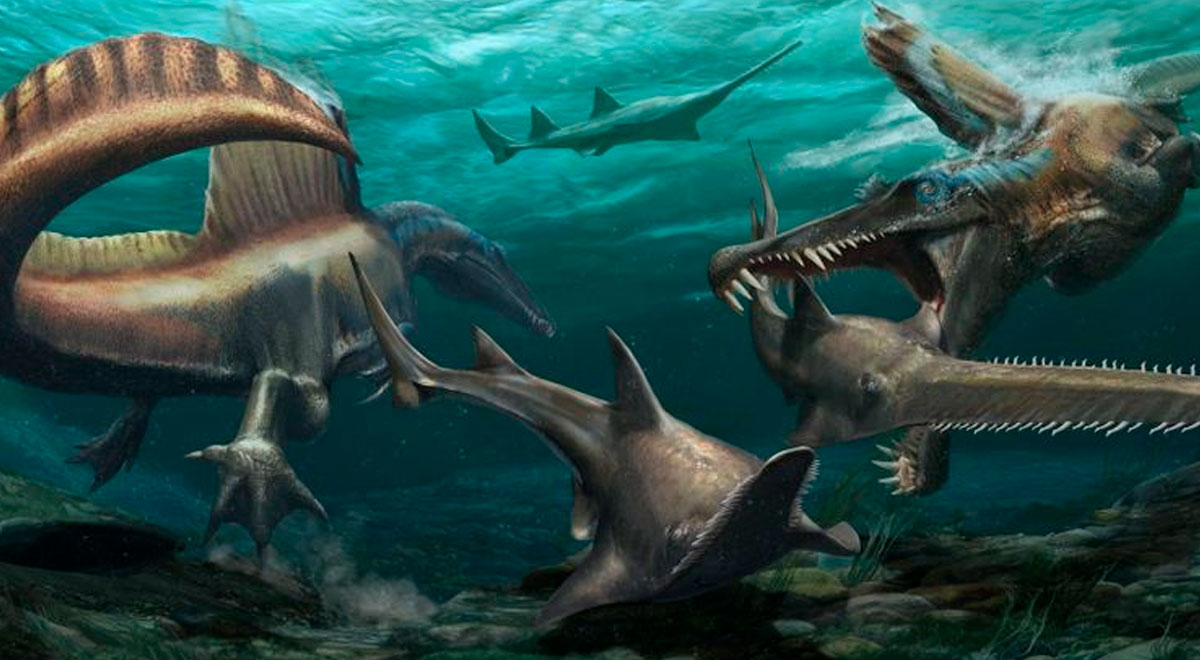 National Geographic: Revelan que el spinosaurus era un animal acuático ...