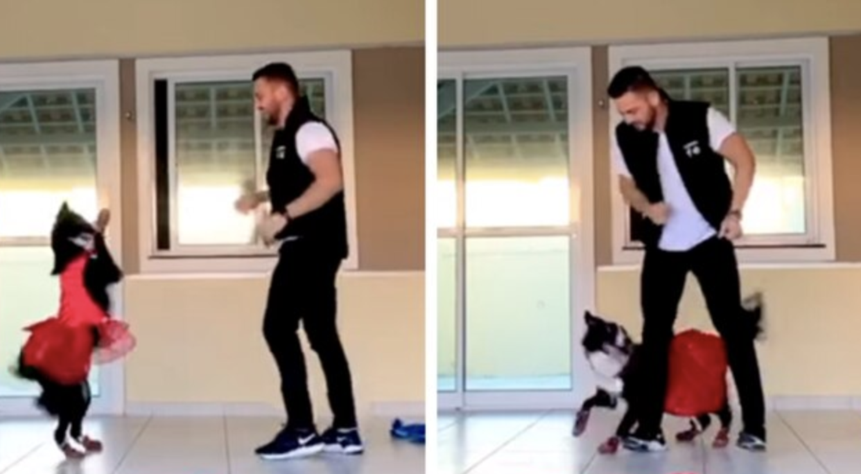Facebook viral: Joven y su perro protagonizan divertida coreografía y ...