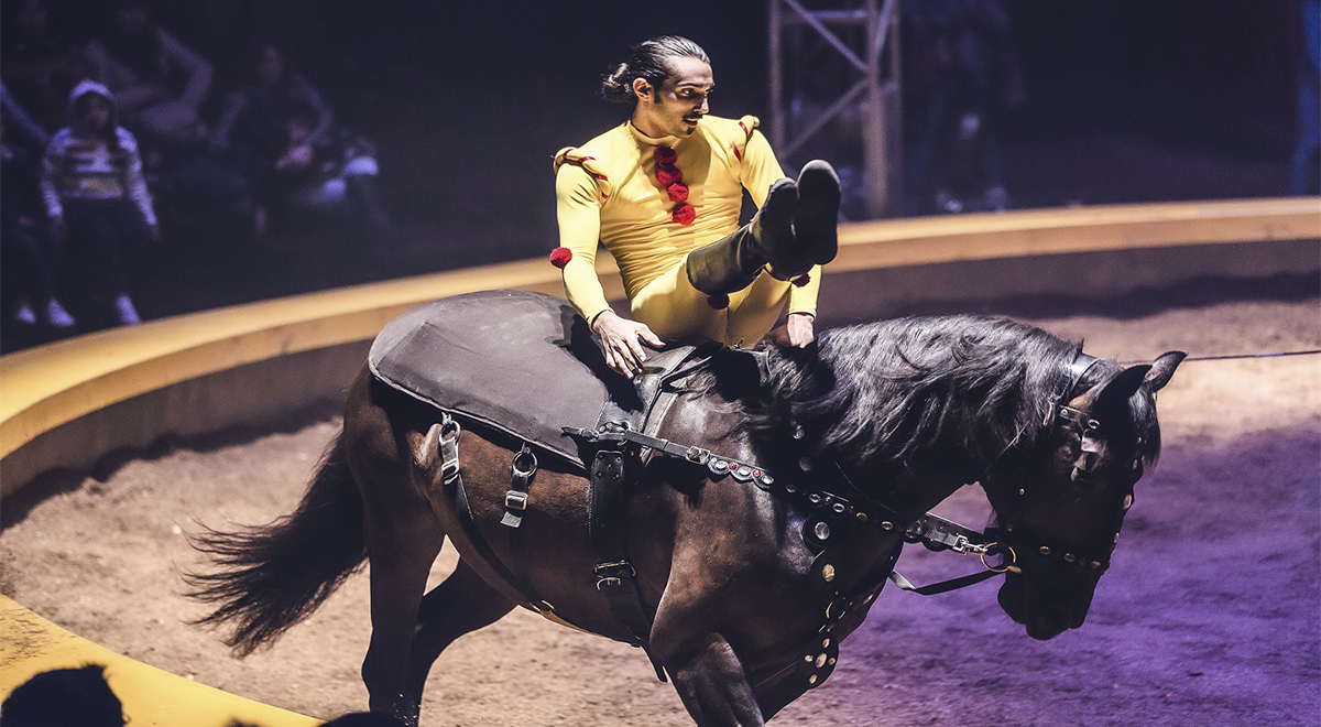 La Tarumba | Extiende su temporada online hasta agosto | VIDEO | El Popular