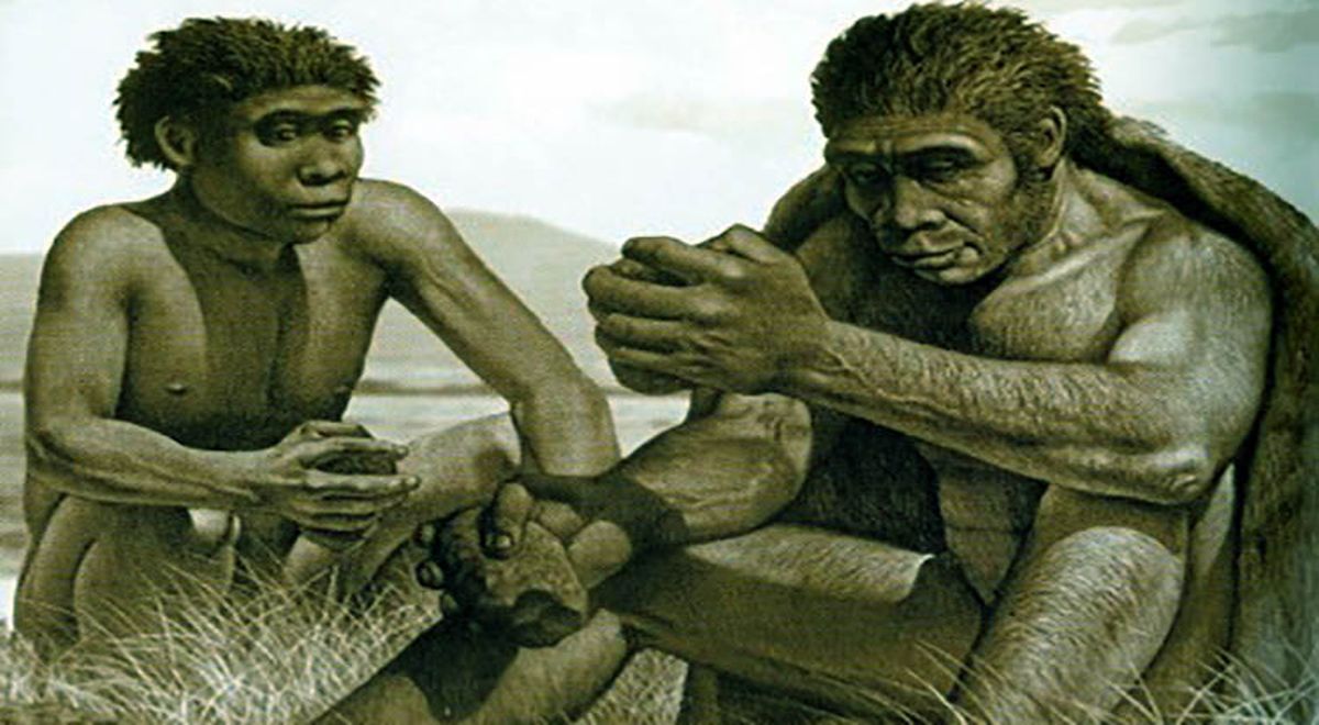 Aprende sobre la evolución del hombre: Homo habilis | historia ...