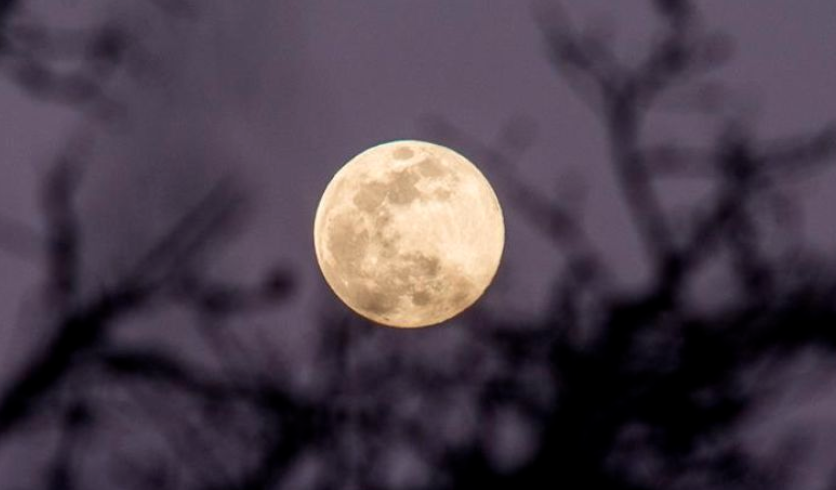 Luna en perigeo agosto 2020: qué significa y cuál es la distancia de la ...