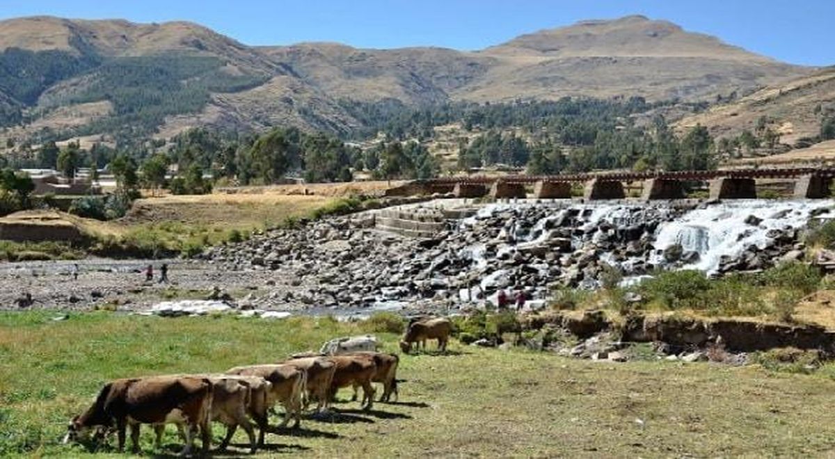 Conoce las 8 regiones naturales del Perú: Región Suni | aprendizaje ...