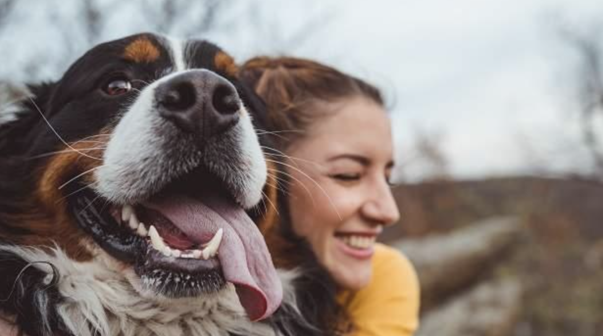 TikTok viral: Joven le da un beso a su perro y este la sorprende ...