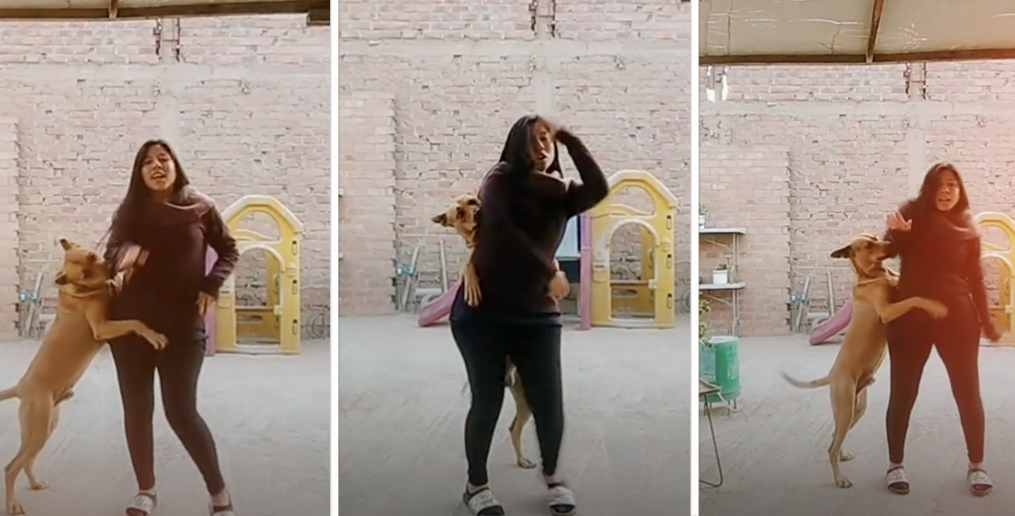 TikTok viral: Joven intenta realizar reto de baile en TikTok y su perro ...