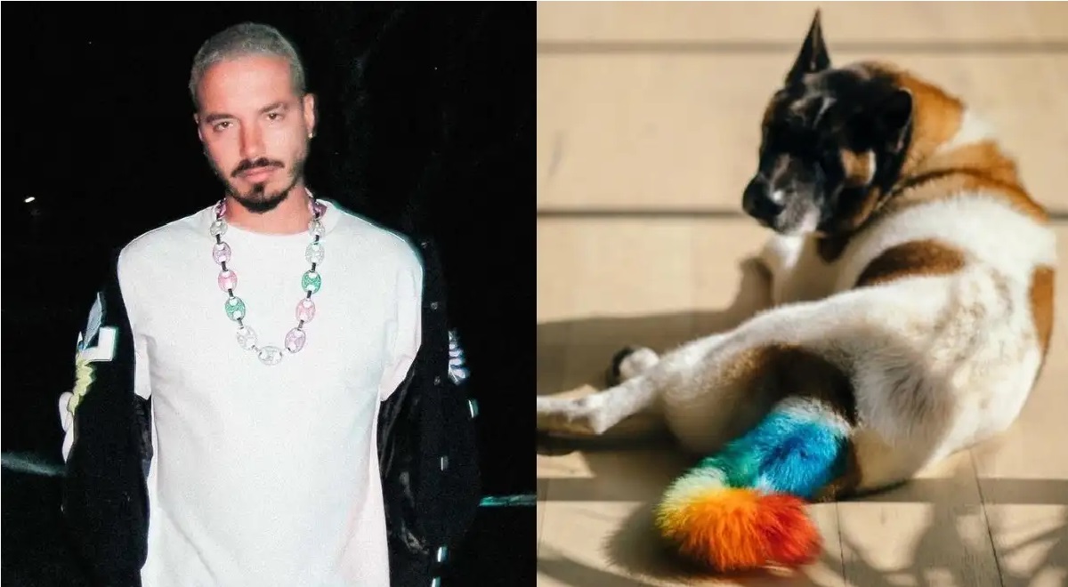 J Balvin Instagram le pinta la cola a su perro 'Enzo’ y genera críticas ...