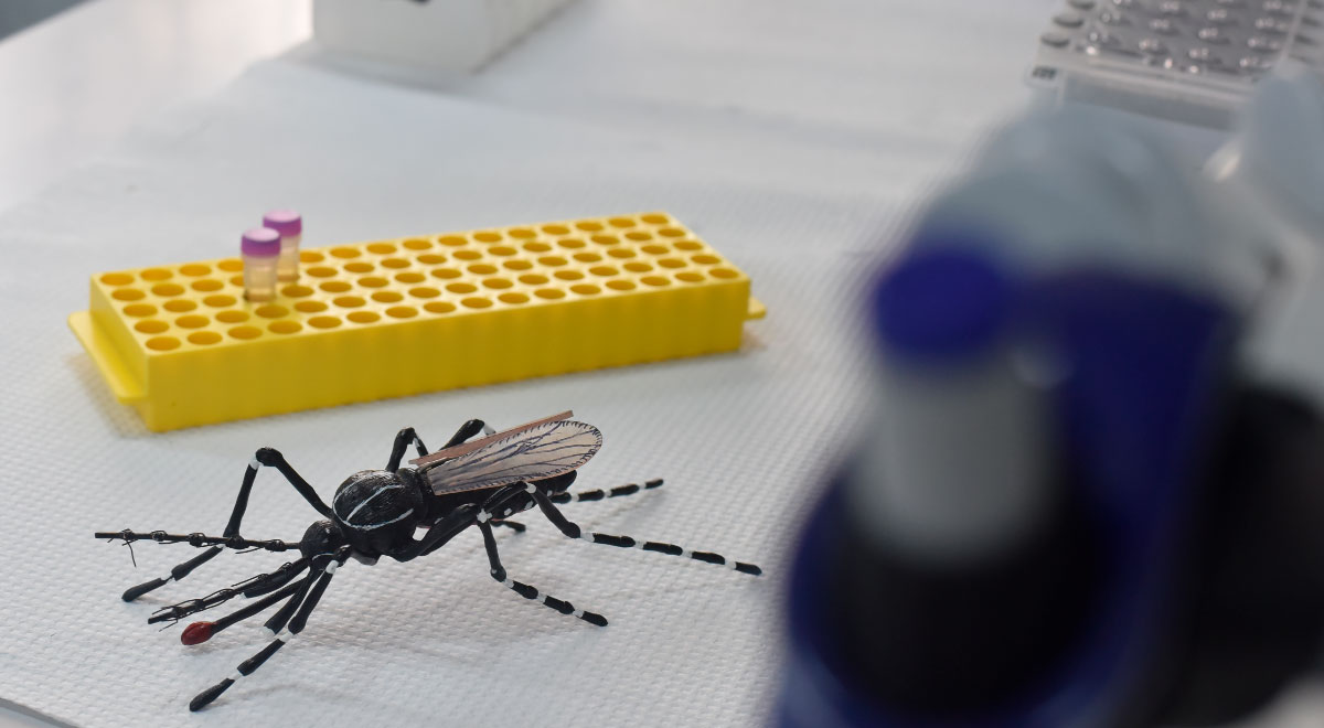 Dengue en Perú: Minsa emite alerta epidemiológica en todo el país por ... Dengue en Perú: Minsa emite alerta epidemiológica en todo el país por ...