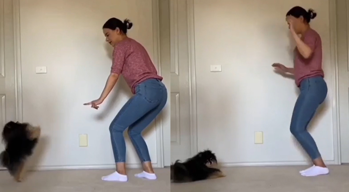 TikTok viral: perro causa sensación imitando los pasos de baile de su ...