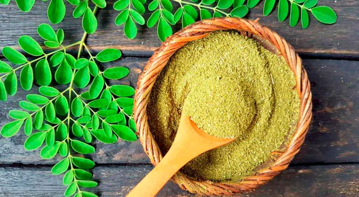 Moringa: cuatro datos científicos sobre la moringa, foto | El Popular