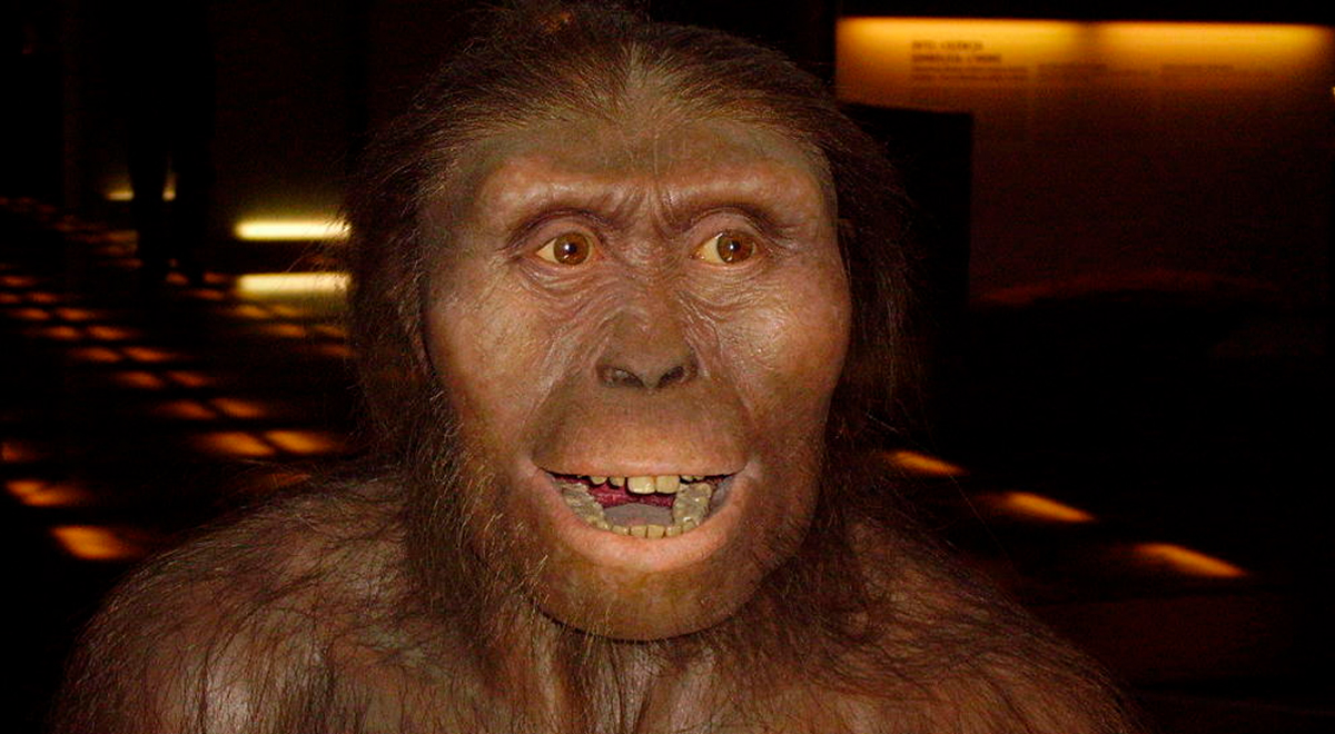 La evolución del hombre: el Homo Australopithecus | El Popular