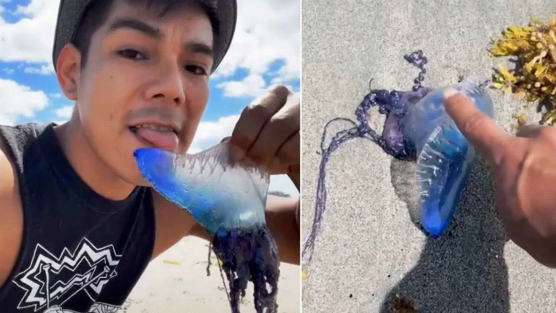 TikTok viral: joven lame criatura marina para ser viral sin imaginar ...