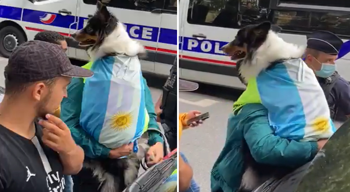 Twitter viral: perrito asiste a recibir a Lionel Messi al PSG, video ... Twitter viral: perrito asiste a recibir a Lionel Messi al PSG, video ...