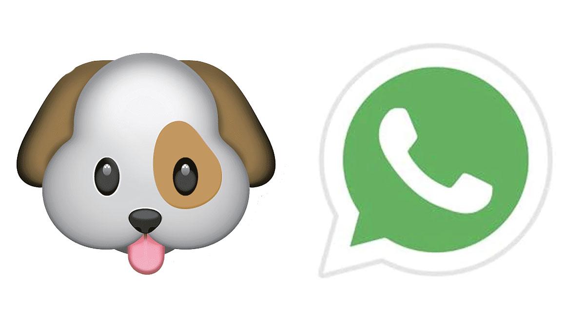 WhatsApp: este es el tierno significado que esconde la carita de perro ...