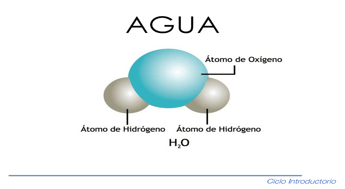 Agua y el ciclo hidrológico: para qué sirve y cuáles son las fases del ...