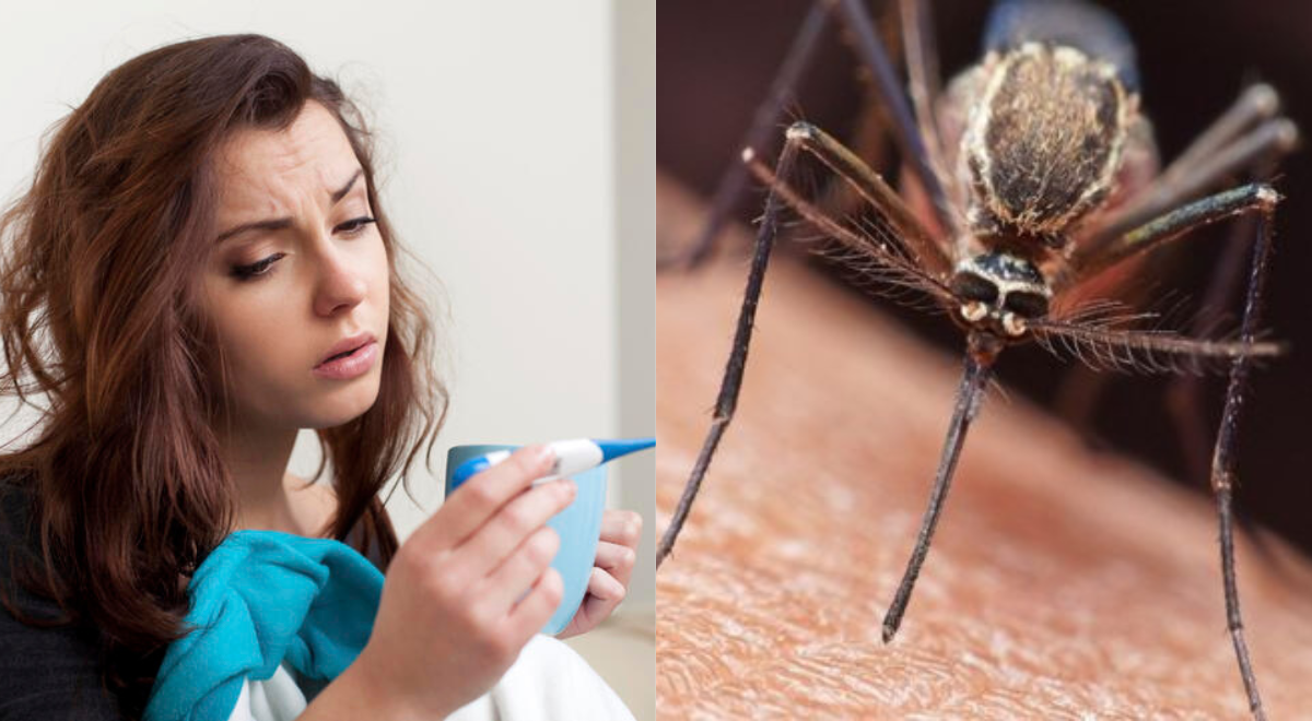 7 síntomas de la malaria que debes reconocer de inmediato | El Popular