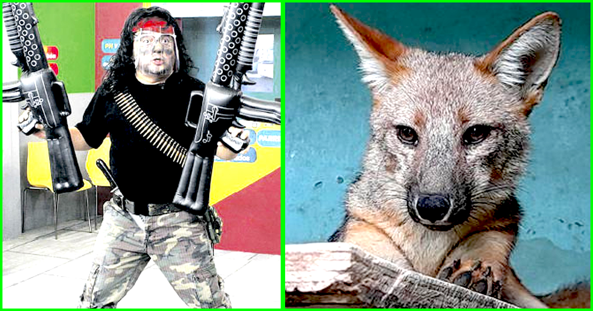 Zorro Run Run: JB en ATV alista parodia en honor al zorrito 'Run run ...