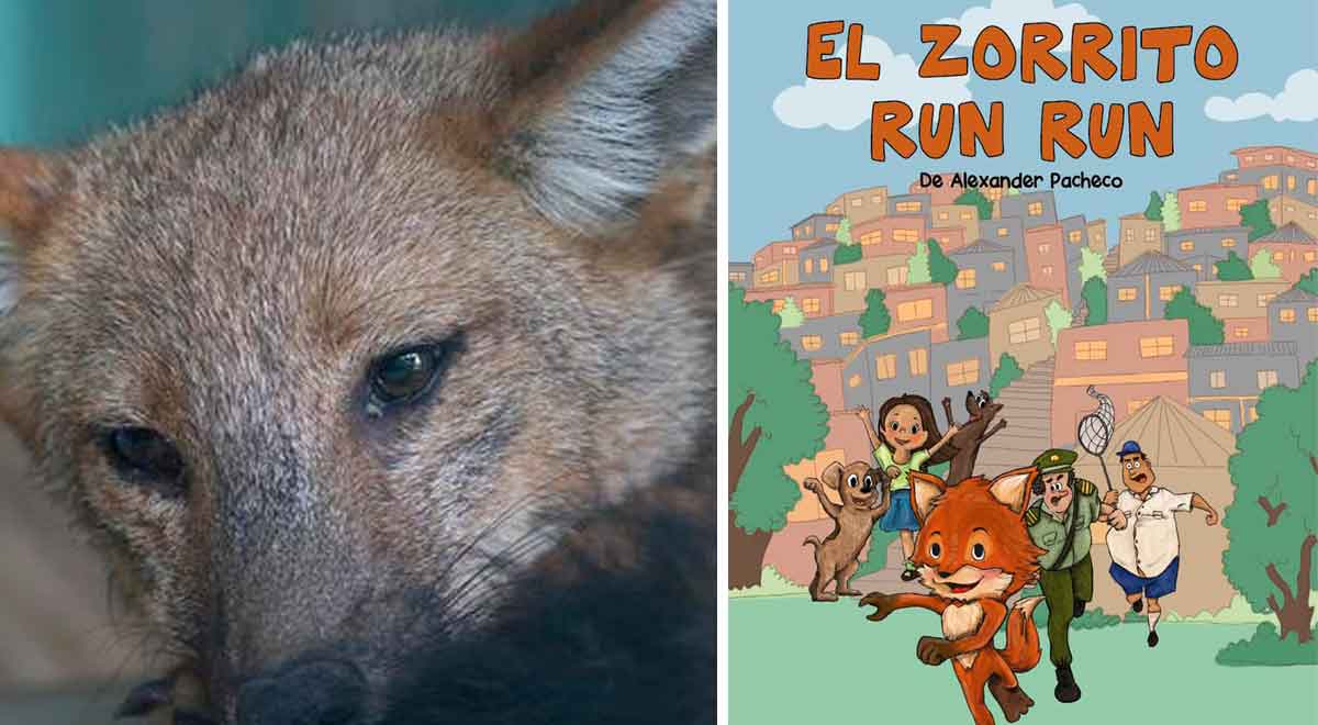 Facebook viral “Zorro Run Run” llega al teatro: contará la travesía que ...