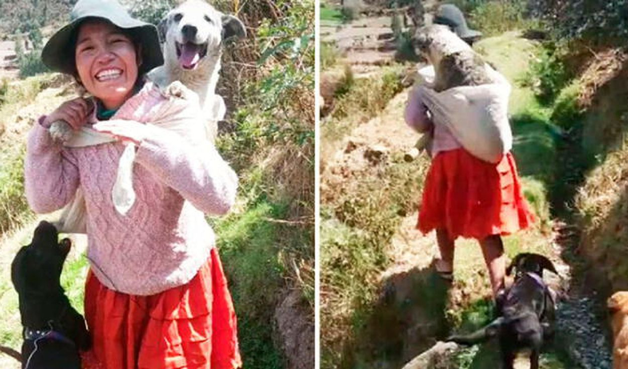 TikTok video viral Perú: mujer carga a su perrito anciano en su espalda ...