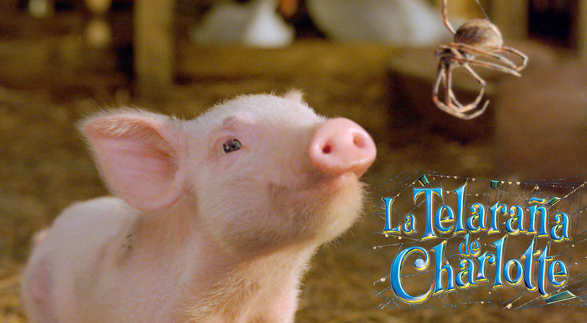 La telaraña de Charlotte final explicado Netflix: qué pasó, qué ...