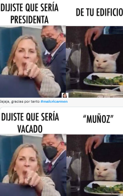 Memes de María del Carmen Alva Twitter viral: stickers momos de la ...