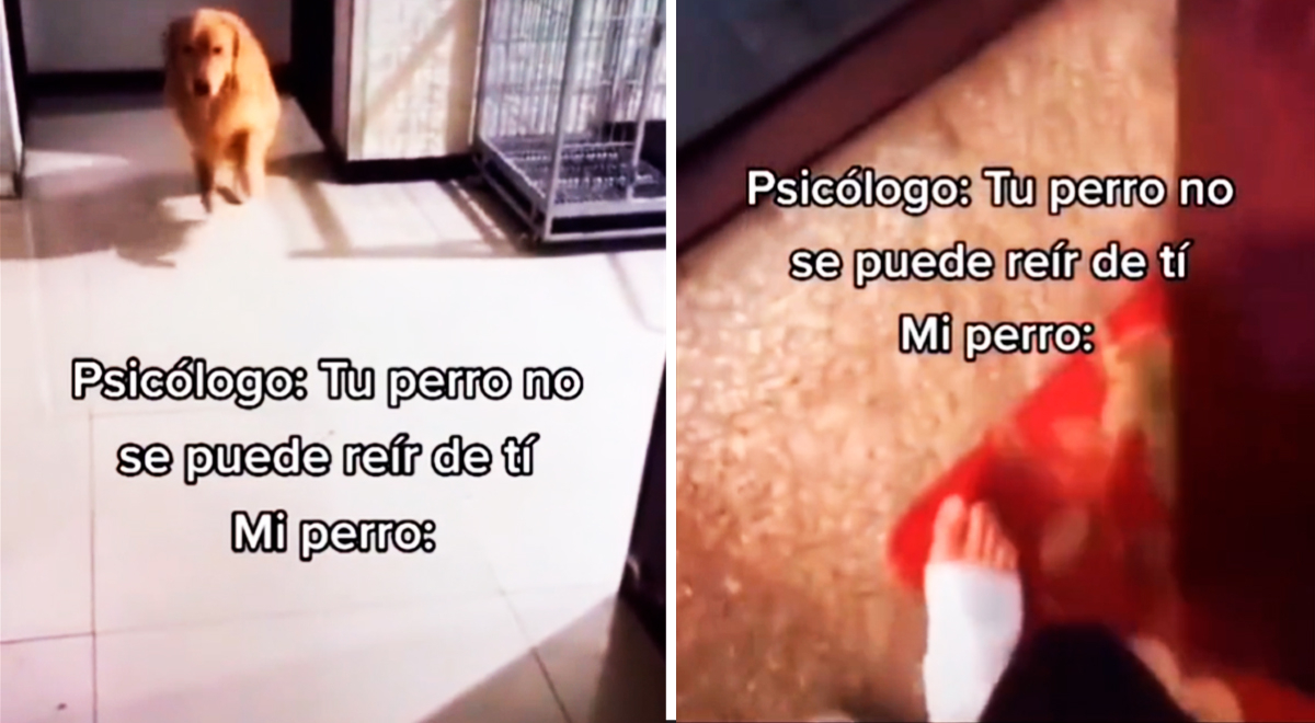TikTok video viral: perrito imita a su dueño cojo y usuarios se ...