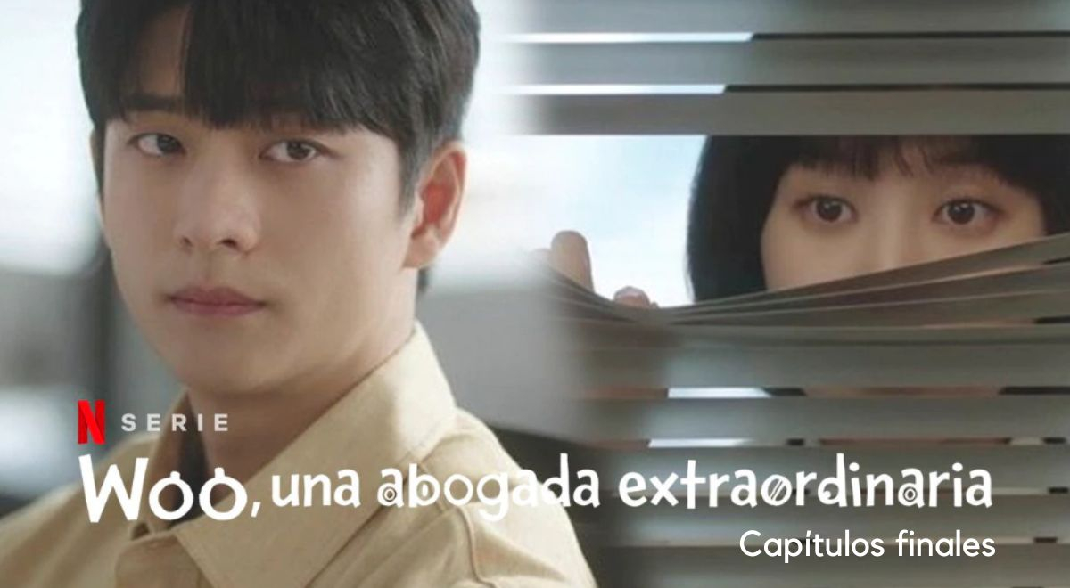 Woo, una abogada extraordinaria en Netflix: final explicado del ...
