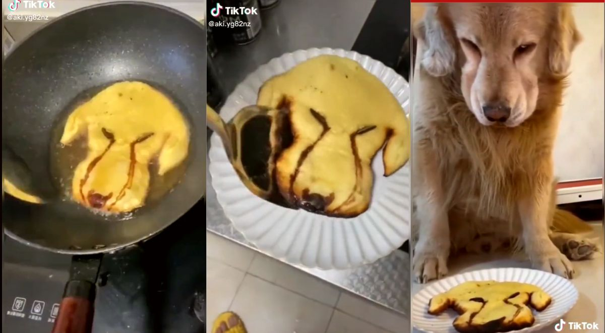 TikTok video viral: Perro tuvo curiosa reacción a un panqueque con su ...