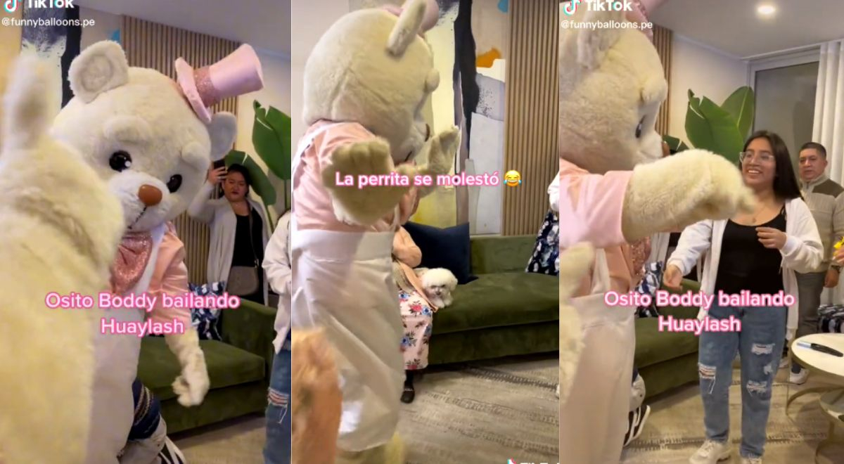 TikTok viral Perú: Osito Boddy arma la fiesta en casa con sus pasos al ...