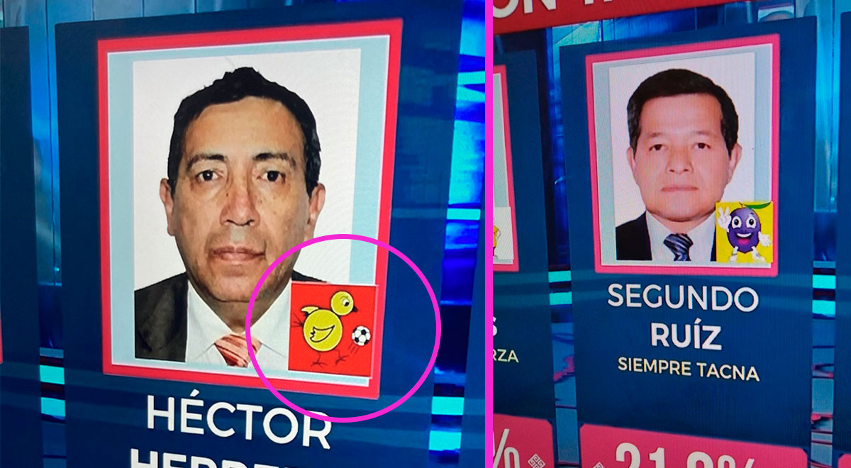 Twitter viral: 'pollito futbolero' hasta la 'aceituna', los símbolos de ...