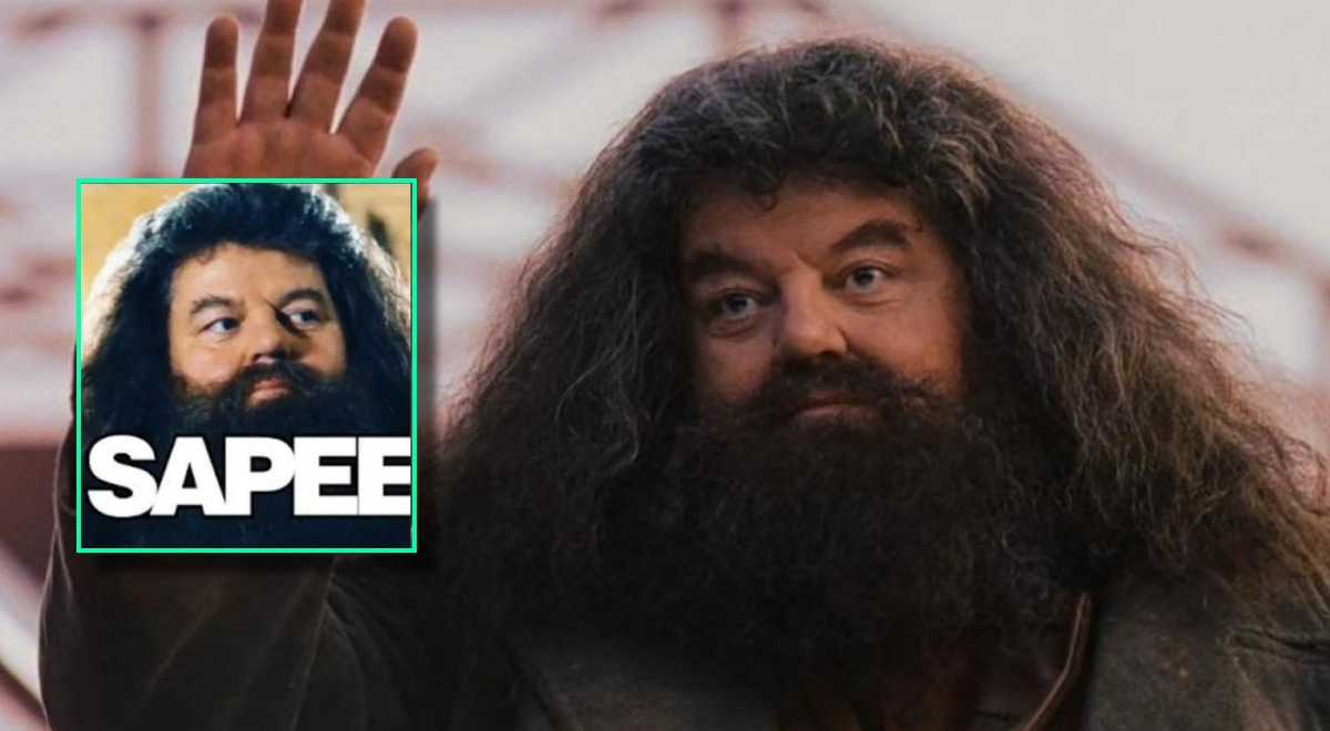 Harry Potter YouTube viral: La razón porque 'Hagrid', personaje de ...