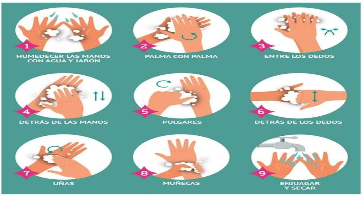 Las enfermedades: ¿Qué son y por qué aparecen? | El Popular