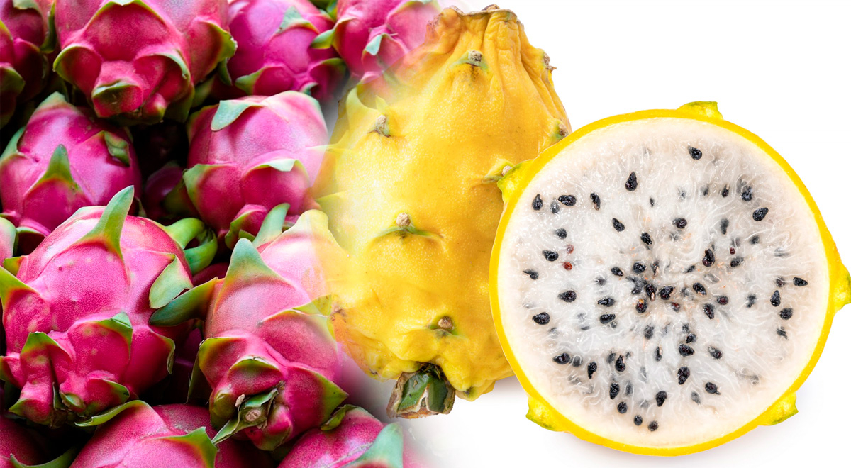 ¿Por qué la pitahaya es buena para quitar el estreñimiento? | El Popular
