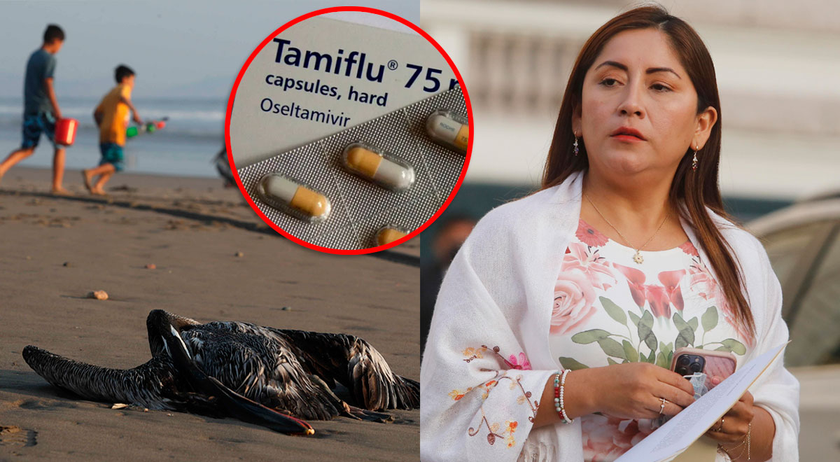 Gripe Aviar: ministra de Salud, Kelly Portalatino, recomienda tomar TAMIFLU en caso virus pase a ...