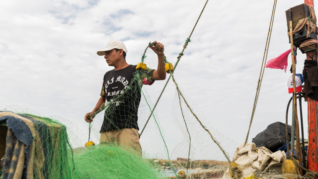 Medio Ambiente: Conoce los nuevos proyectos para reforzar la protección ...