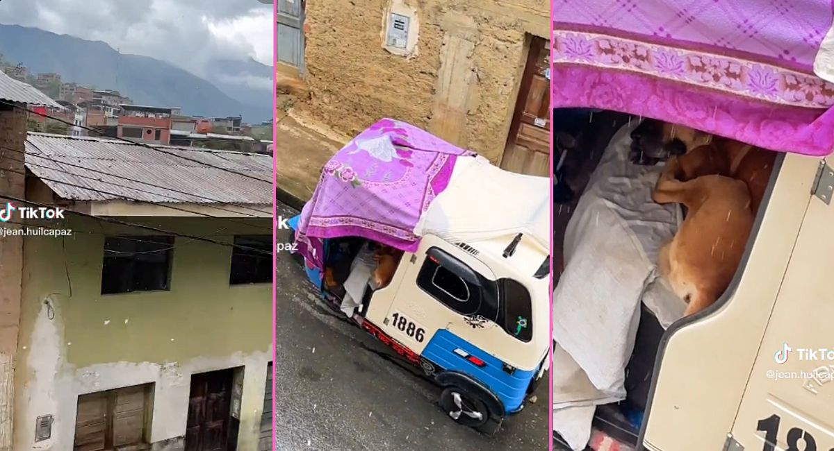 Tiktok Viral Peruano Deja Dormir A Perrito De La Calle En Su Mototaxi
