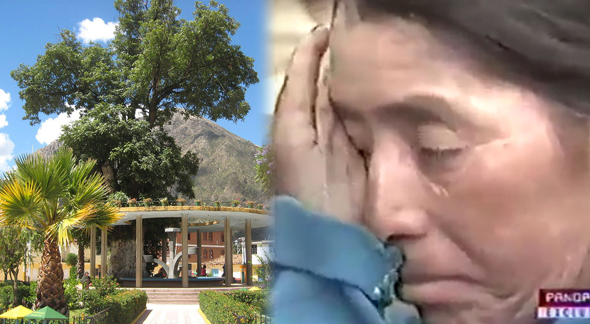 La historia del cedro de Huancapi | El pueblo que se unió en masa para defender un árbol ...