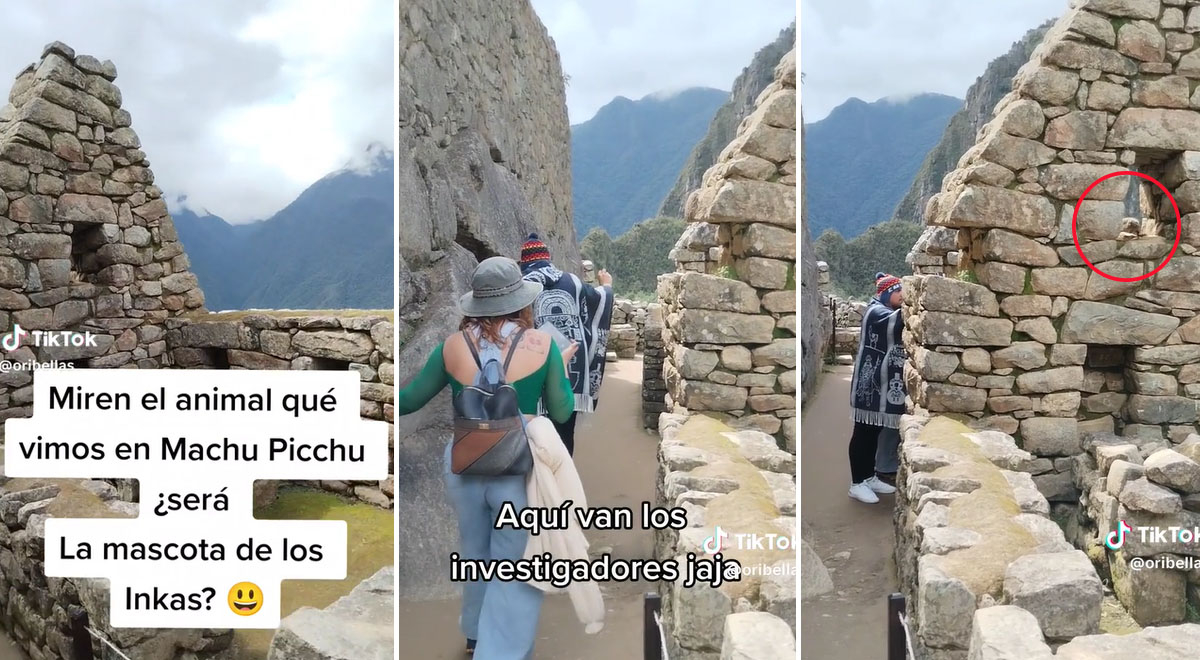 TikTok viral: peruanos visitan Machu Picchu, pero descubren singular ...