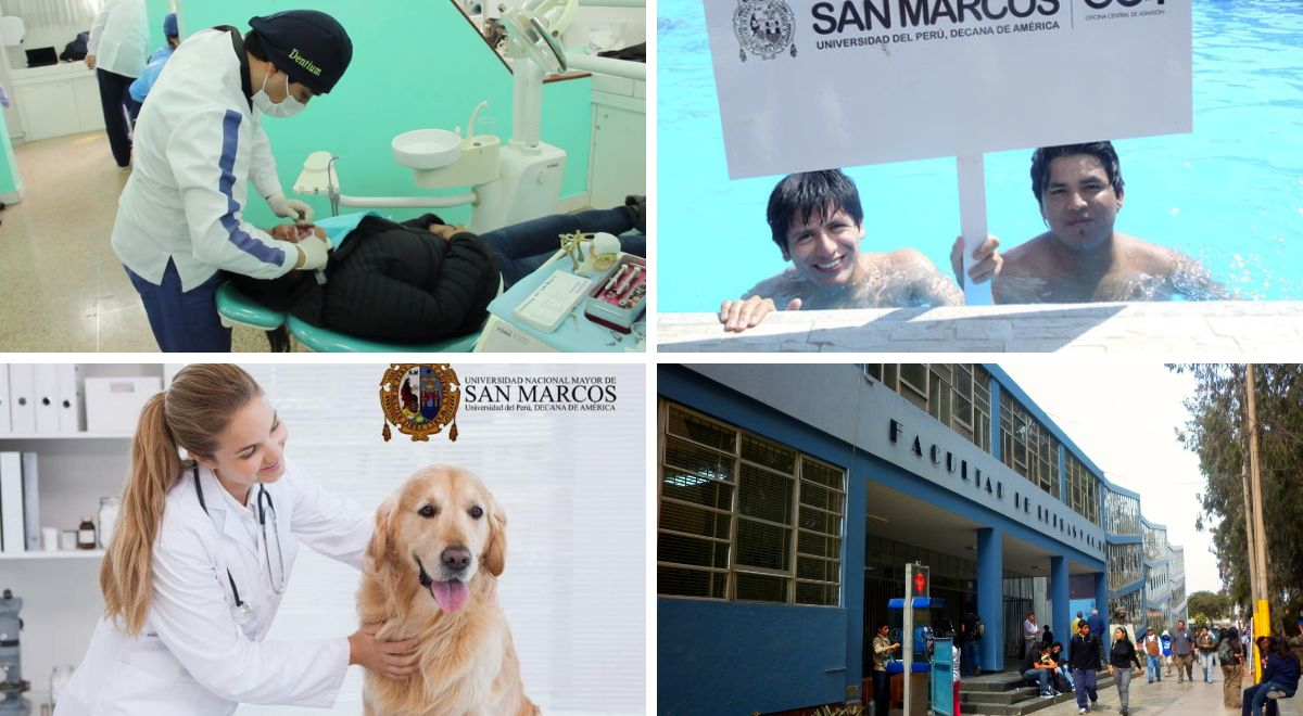 San Marcos: ¿qué servicios ofrece la UNMSM de manera abierta la ...