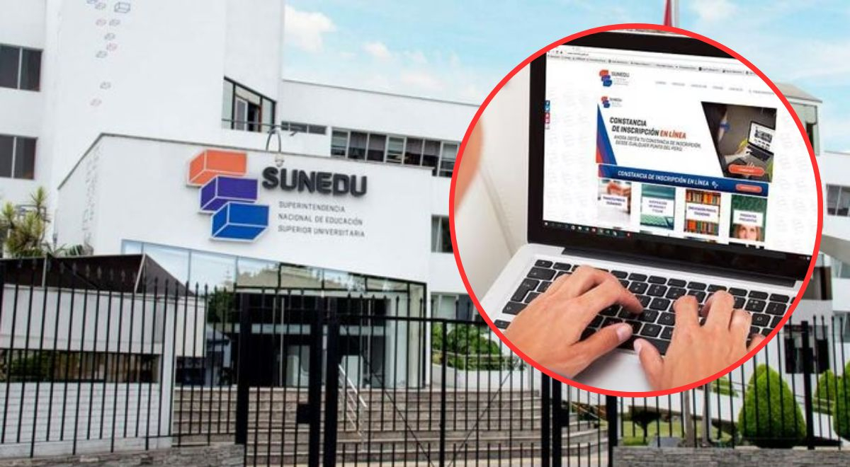 Sunedu, consulta link GRATIS: cómo verificar si tu grado o título se ...