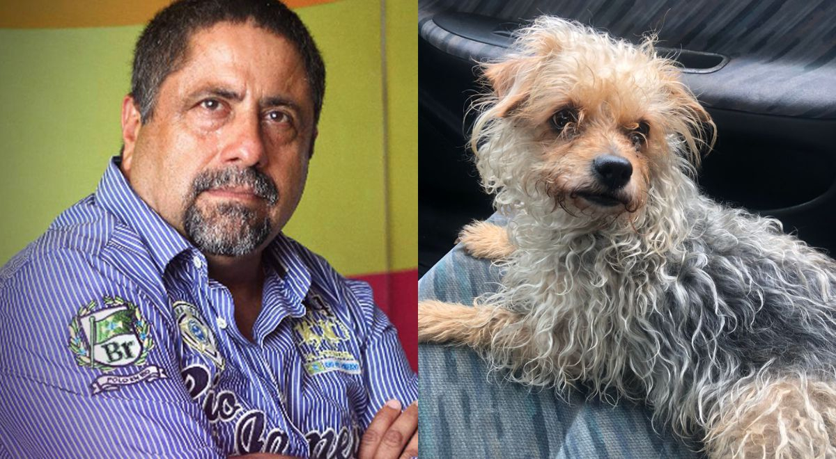 Susy Díaz, Mero Loco extravió a su mascota y ofrece 500 soles de ...