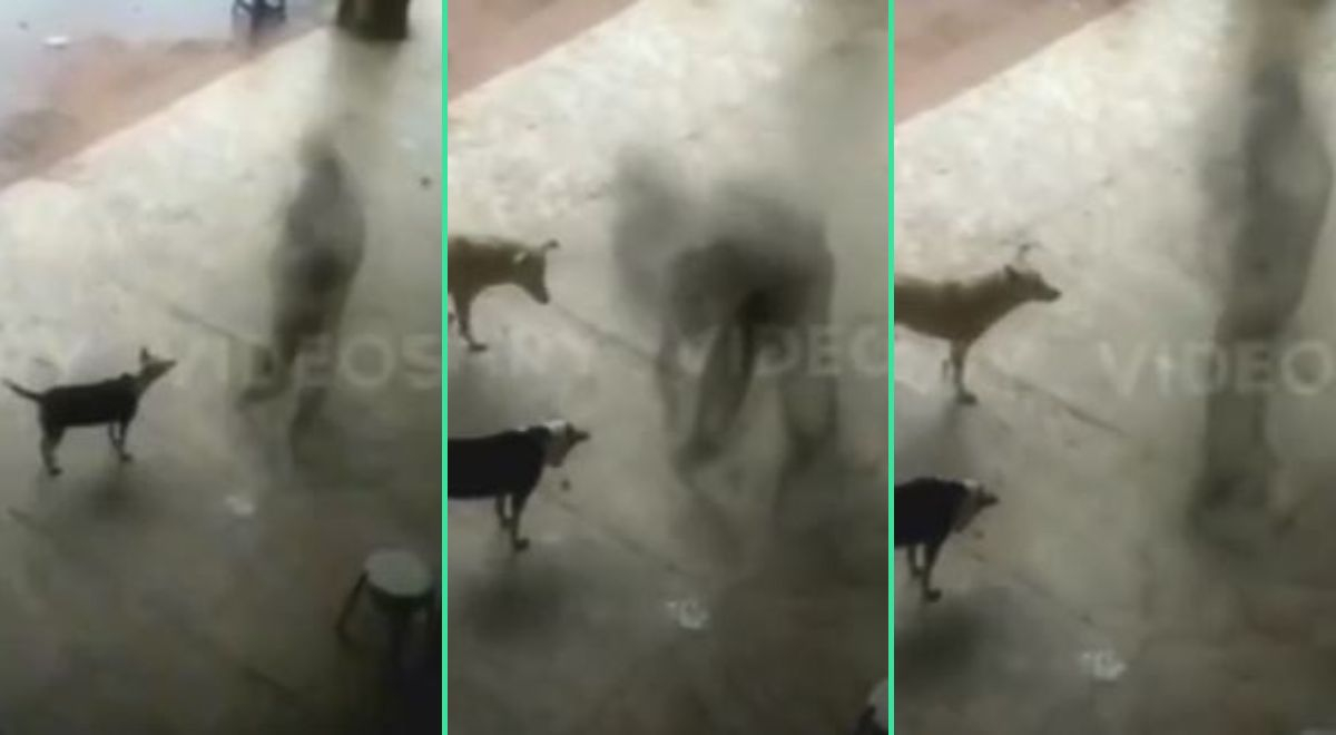 TikTok viral | Sombra paranormal causa conmoción a las redes al ...