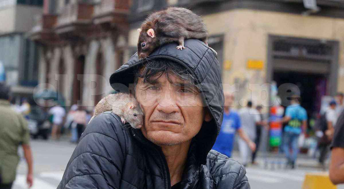 Día del Padre: La historia del "Papá de las ratas", el peruano que cría ...