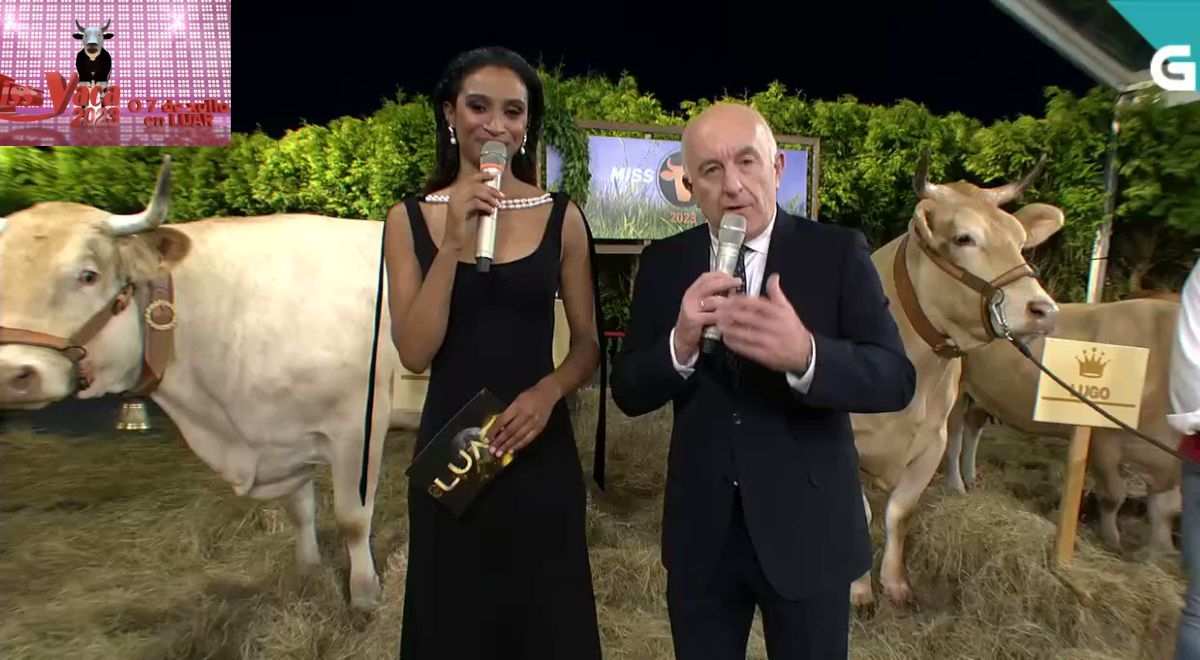 Miss Vaca 2023: Coronaron a la nueva ganadora como la mejor vaca de ...