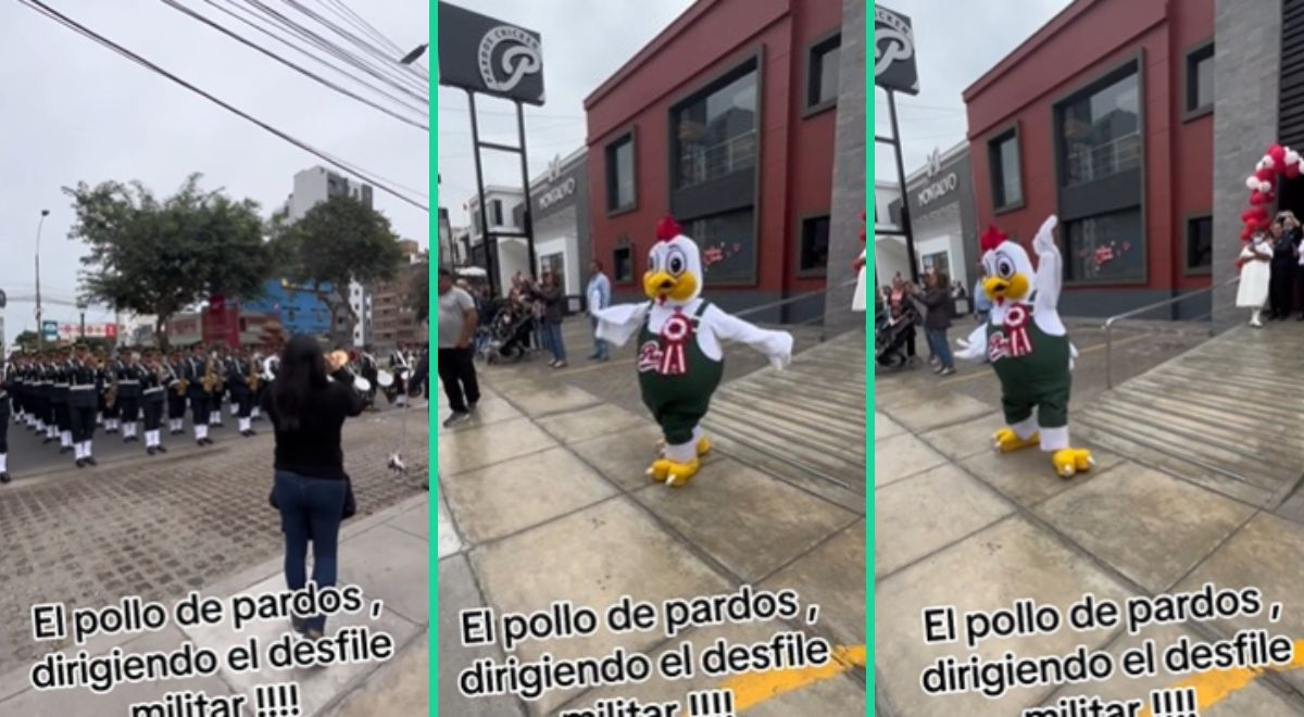 TikTok viral | Pollito de Pardos sorprende a usuarios al dirigir banda ...