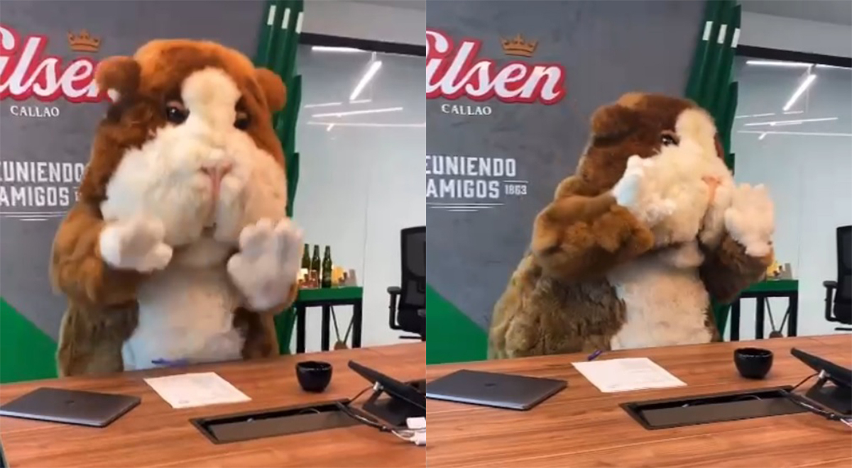 ¿Cuy Mágico es el nuevo jale de una reconocida marca de cerveza?, video ...