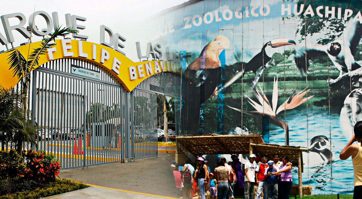 Parque de las Leyendas: Municipalidad de Lima será el nuevo administrador del Zoológico de ...