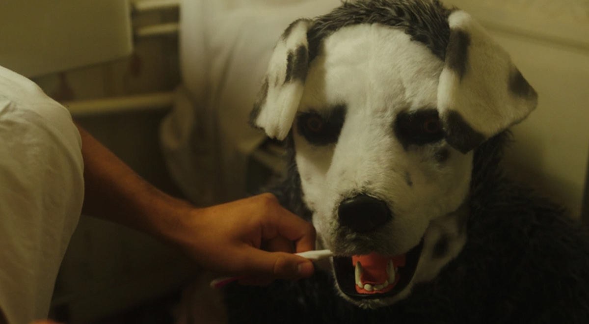 Good Boy 2023, La aterradora película de un hombre que se cree perro ...