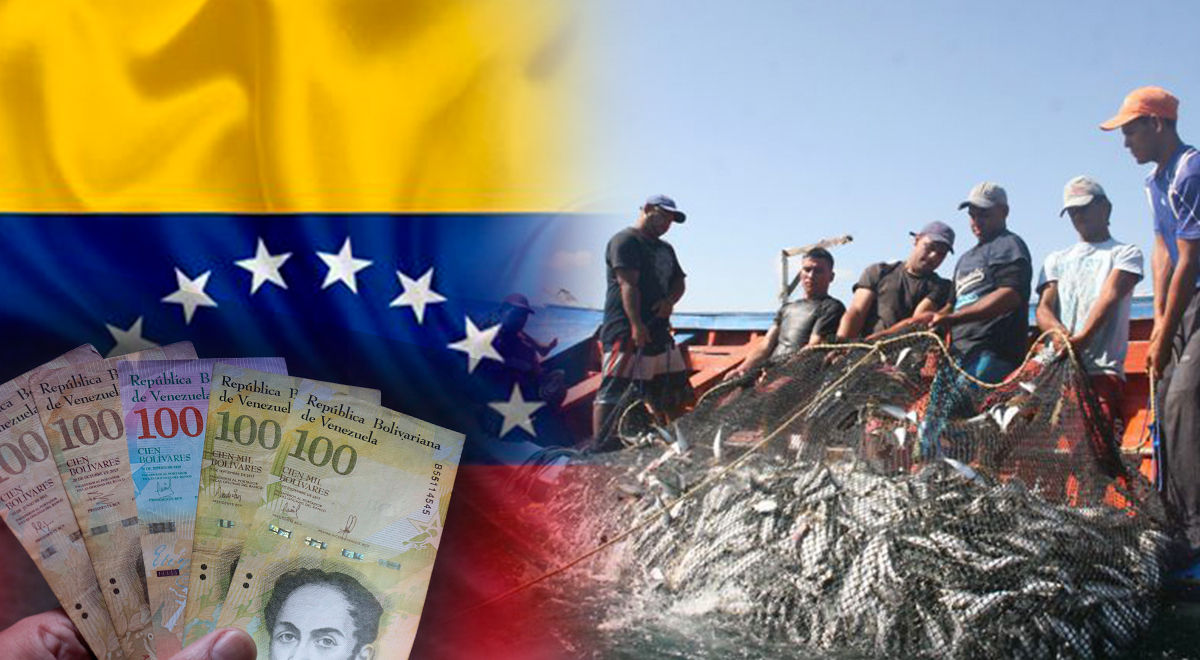 Bono pescadores 2023: revisa todos los detalles del nuevo subsidio de ...