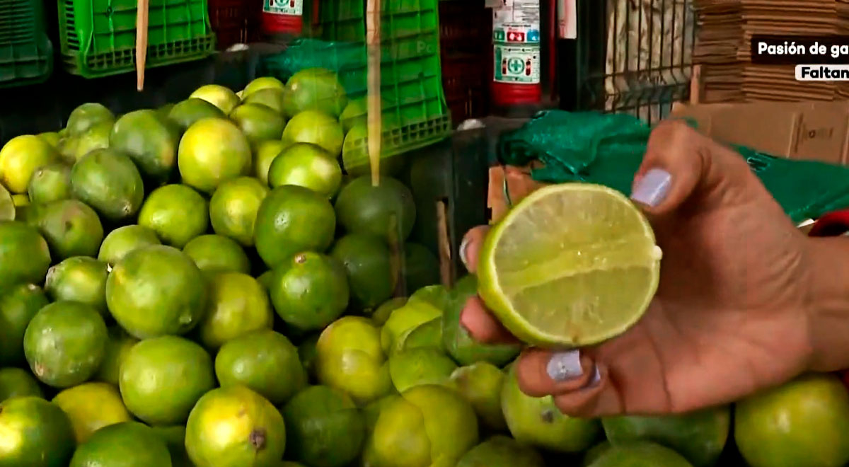 Comerciantes ofrecen limón colombiano a S/ 10 el kilo: ¿Cuál es la ...